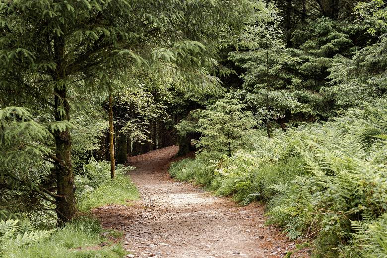 3 Ways To Immerse Yourself In Nature When You've Got Little Time ...